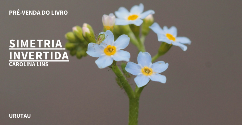 Benfeitoria - "SIMETRIA INVERTIDA", DE CAROLINA LINS